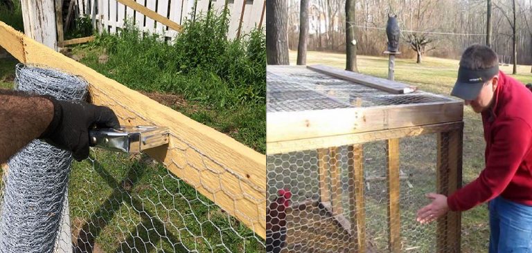 How to Secure Chicken Wire to Wood | 14 Easy Ways (2025)