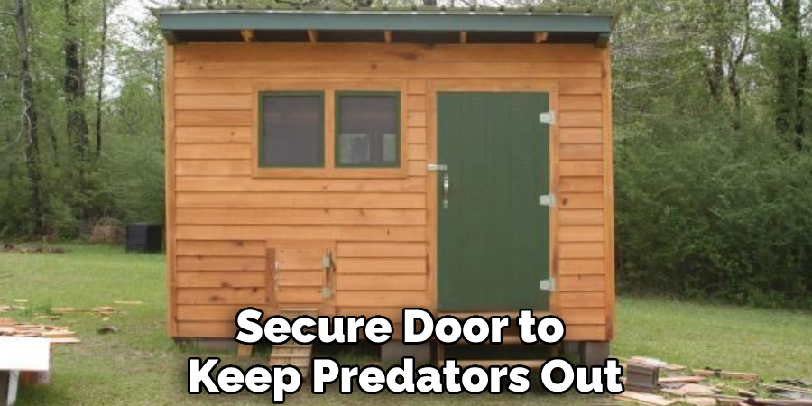 How to Build Turkey Coop | 5 Effective Methods (2023)