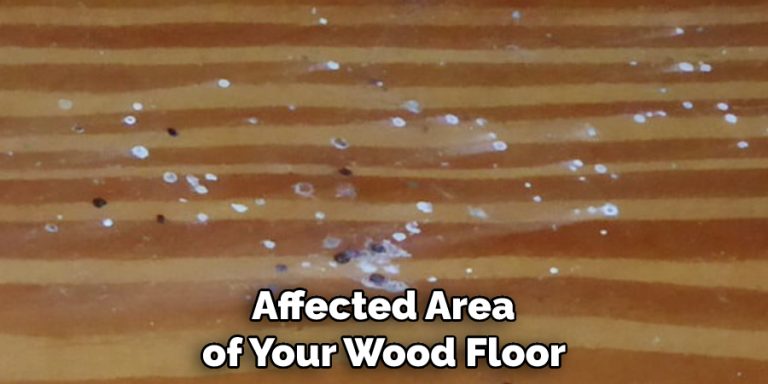 How to Clean Spider Poop off Wood Floors | 10 Easy Methods