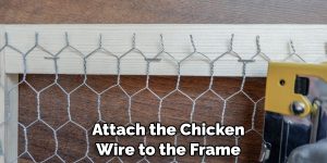 How to Attach Chicken Wire to Wood Without Staples in 10 Steps