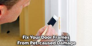 How to Fix Door Frame Damage From Dog | 5 Easy Steps (2025)