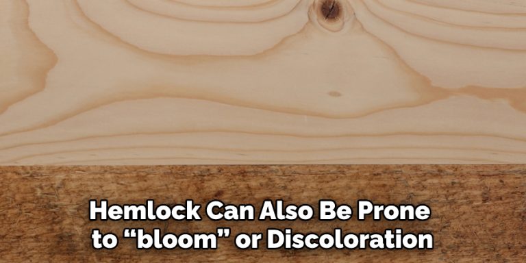 How to Treat Hemlock Wood | 10 Effective Ways (2025)