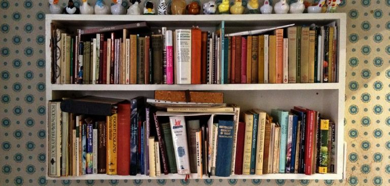 How to Cover the Back of a Bookcase | 12 Useful Steps (2025)