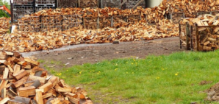 How to Make Money Selling Firewood | Complete Guide (2025)
