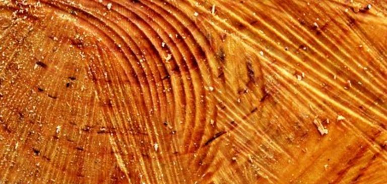 How to Make Wood Look Rough Sawn | 5 Easy Instructions (2025)