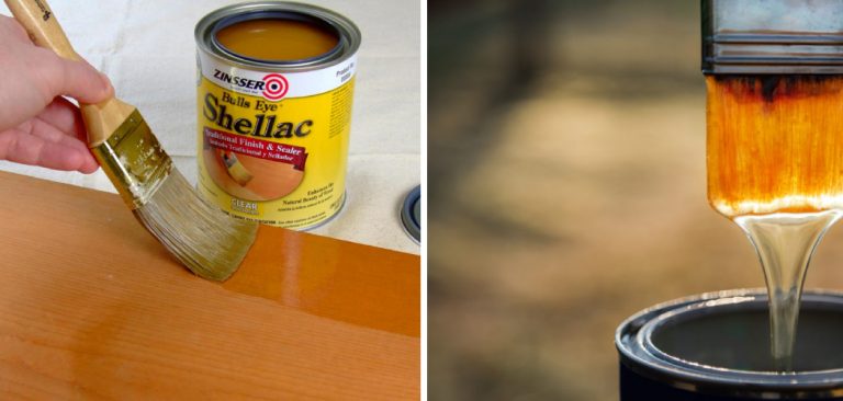 How to Thin Shellac | 9 Effective Methods (2025)