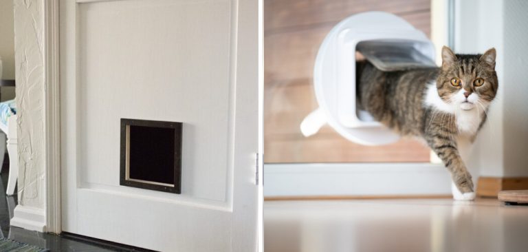 How to Cover a Cat Door | 4 Effective Guideline (2025)