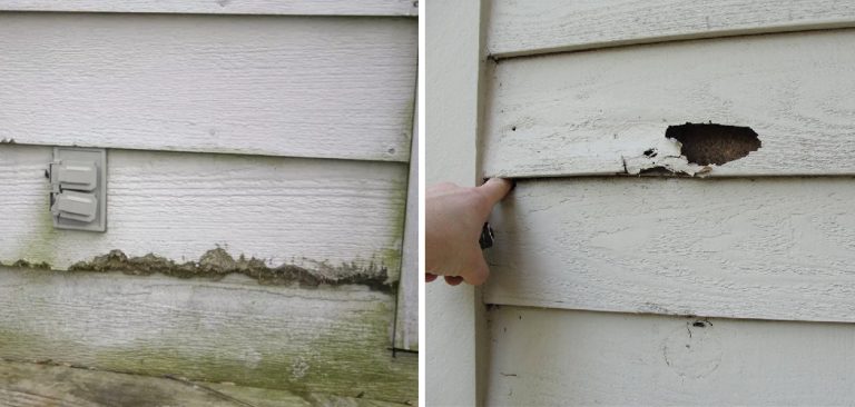 How to Replace Rotted Wood Siding | 6 Easy Steps (2025)