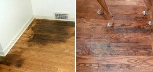How to Remove Old Grease Stains From Wood | 7 Easy Steps (2025)