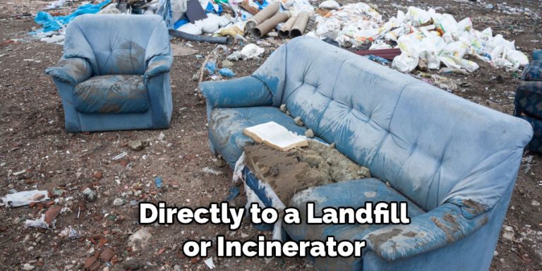 How to Dispose of Furniture With Bed Bugs | 10 Easy Steps (2025)