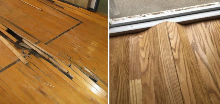 How to Fix Buckled Wood Floor | 6 Easy Processes (2025)