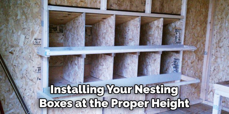 How to Build Nesting Boxes on outside of Coop | 10 Easy Methods