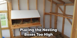 How to Build Nesting Boxes on outside of Coop | 10 Easy Methods