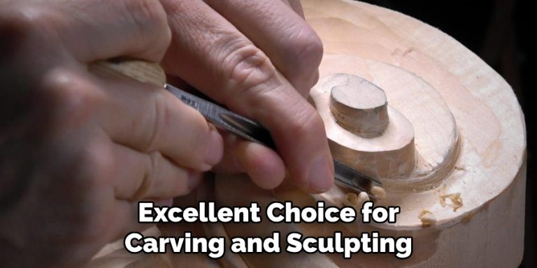 How to Use Beech Wood | 10 Easy Methods (2025)