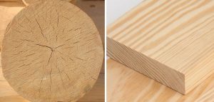 How to Use Spruce Wood | 10 Easy Methods (2025)