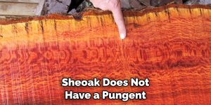 How to Identify Sheoak Wood | 12 Effective Steps (2024)