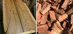 How to Know Australian Buloke | 6 Easy Steps (2025)