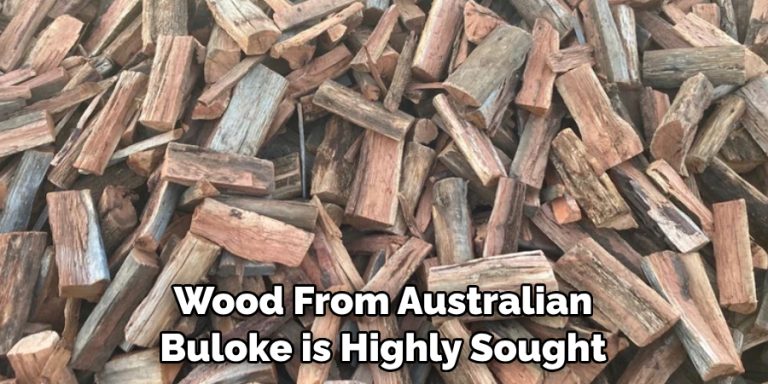 How to Know Australian Buloke | 6 Easy Steps (2025)