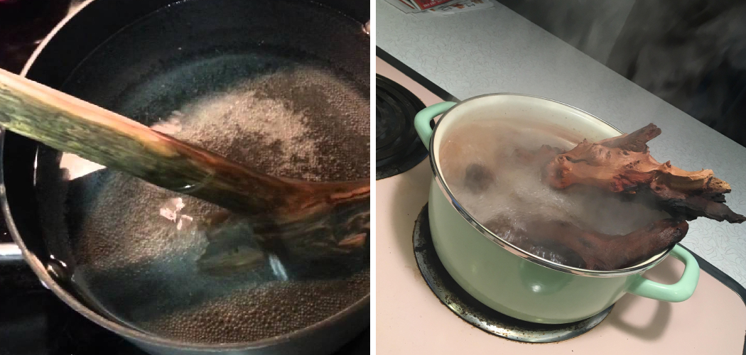 How to Boil Wood for Aquarium | 10 Easy Steps (2025)