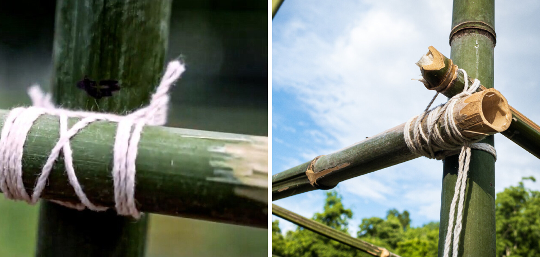 How to Lash Bamboo | 8 Easy Methods (2025)