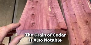 How to Tell if Wood Is Cedar | 10 Easy Ways (2025)