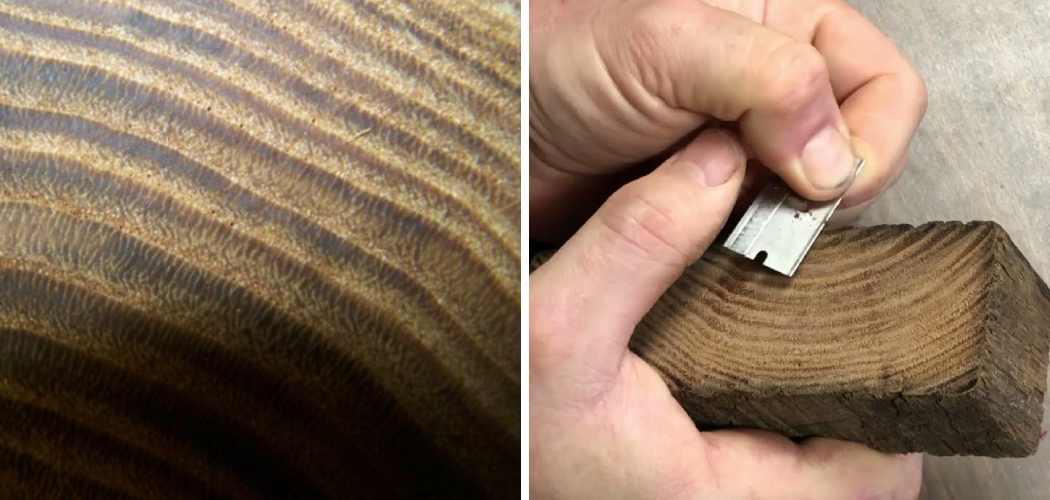 How to Identify American Chestnut Wood | 8 Useful Steps (2025)