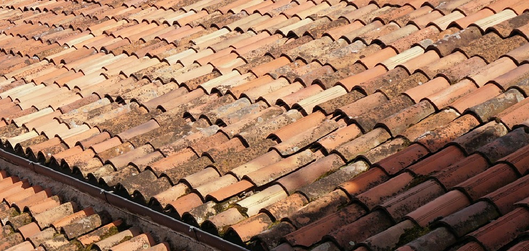 How to Make Wooden Roof Tiles | 7 Easy Steps (2026)