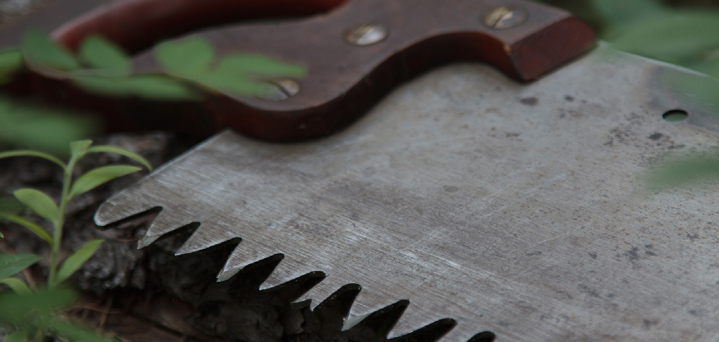 How to Make a Wooden Handle for A Saw | Helpful Explanation