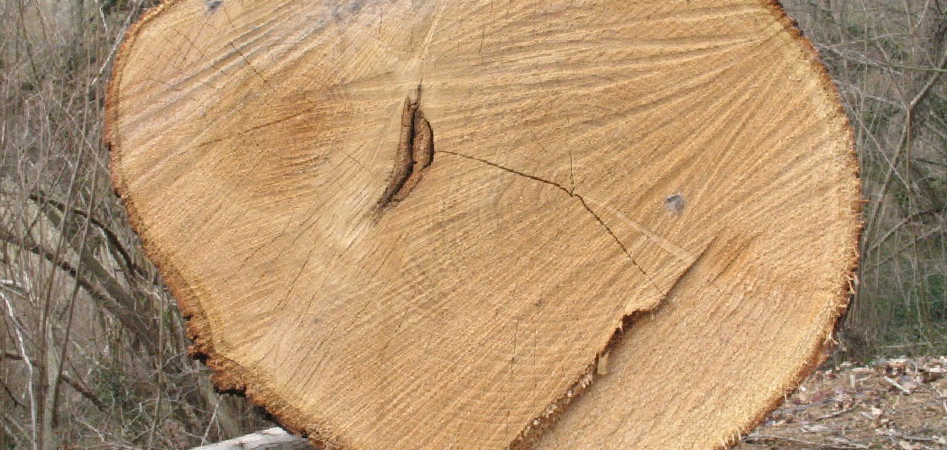 How to Paint American Chestnut Wood | 8 Easy Steps (2025)