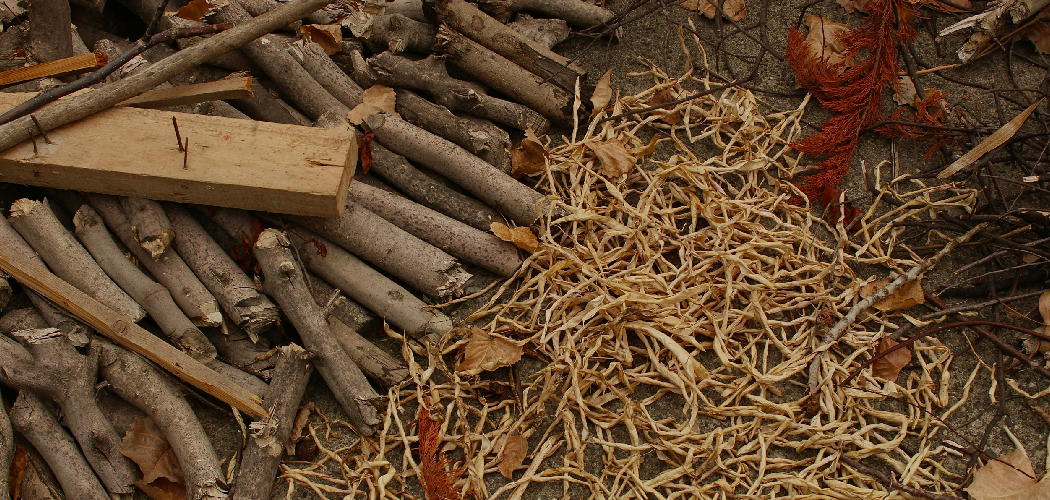 How to Use Kindling Wood | 10 Easy Steps (2026)