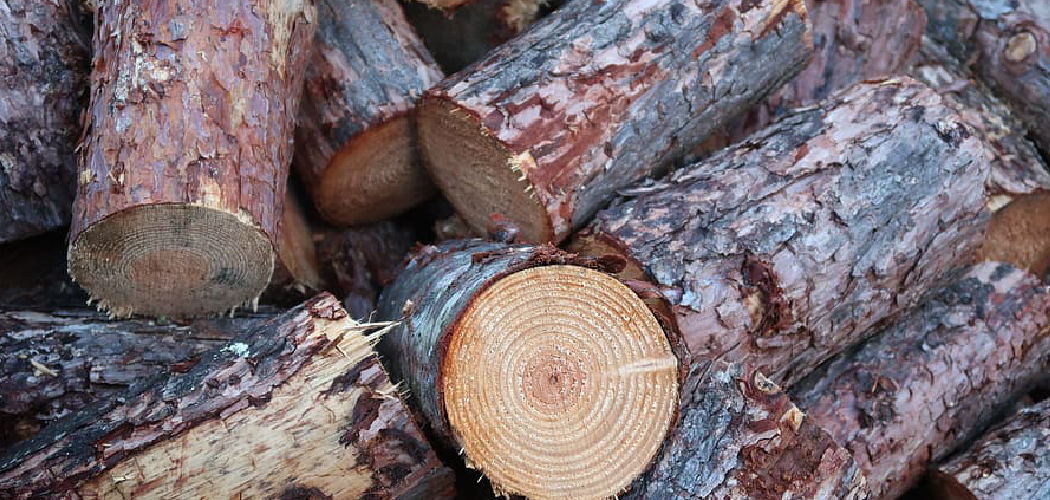 How to Get Bark off Cedar Logs | 10 Effective Methods (2026)