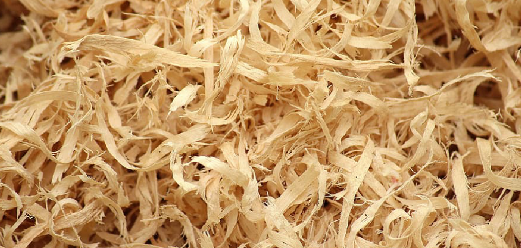 How to Make Sawdust at Home | Helpful Examples (2026)
