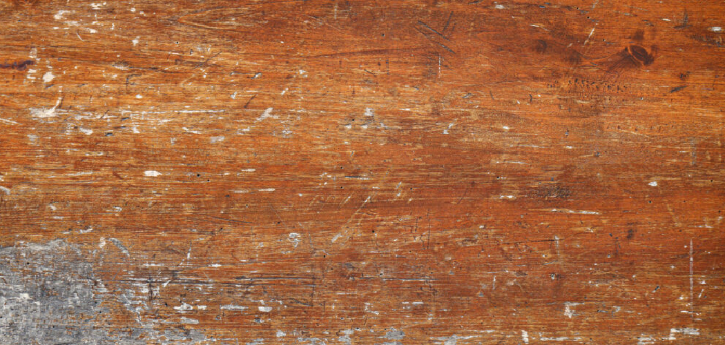 How to Stop Nail Holes from Rotting on Wood | 8 Easy Steps